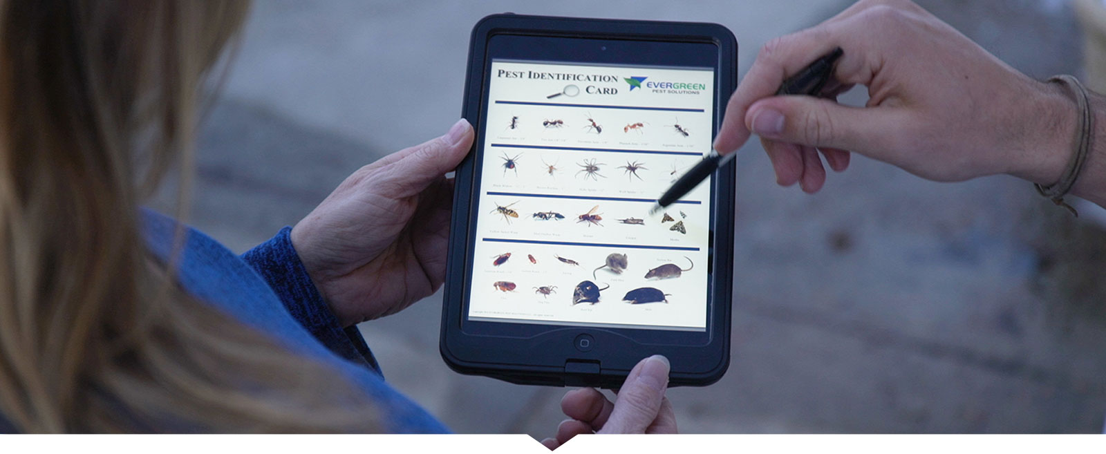 NineFold – NineFold: Growth, Family, Future